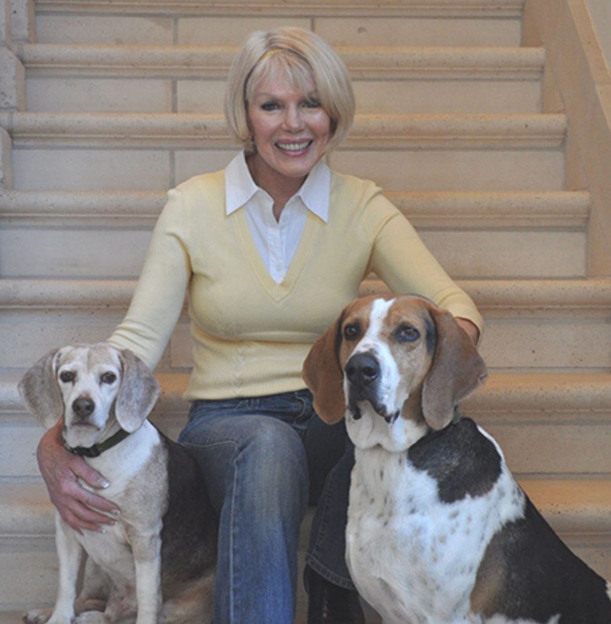 Pat Becker Books - Dog Talk